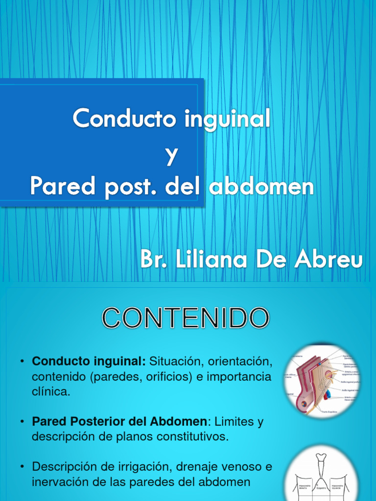 11 Conducto Inguinal y Pared Posterolateral Del Abdomen | PDF | Abdomen ...