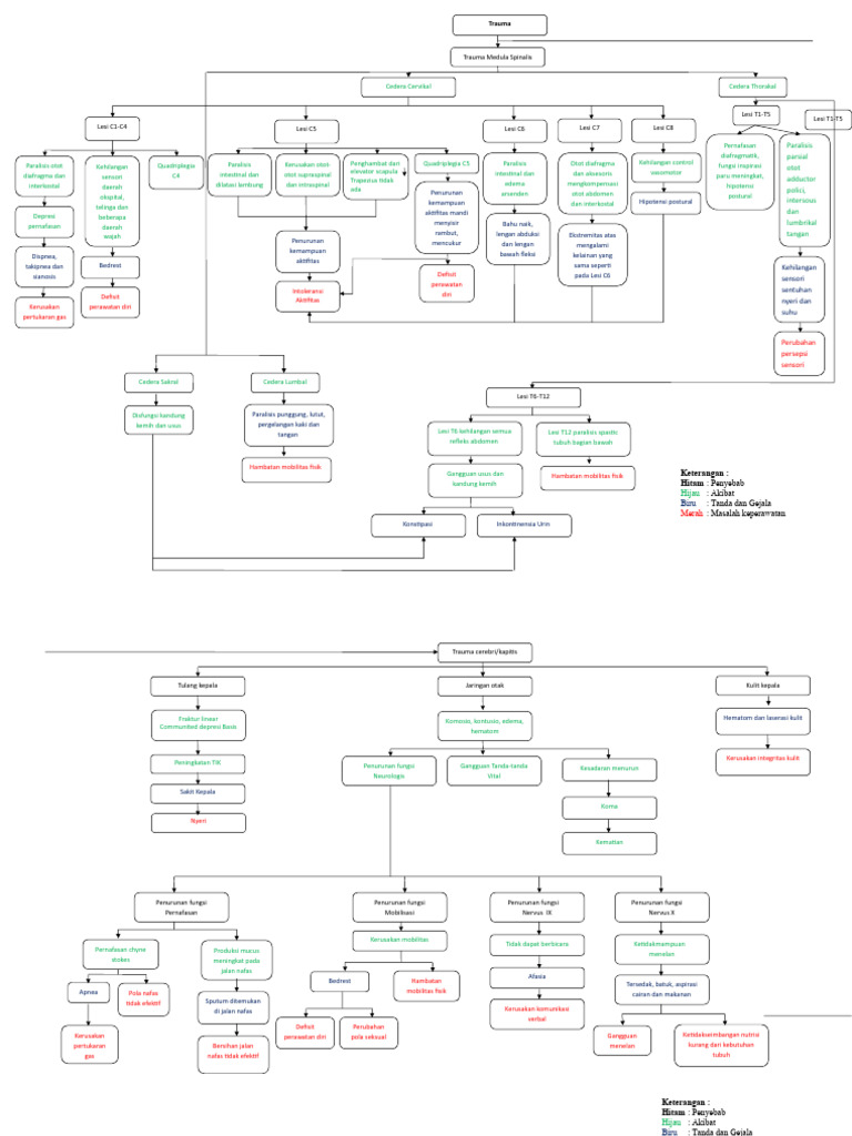 Mind Mapping Neurologi | PDF