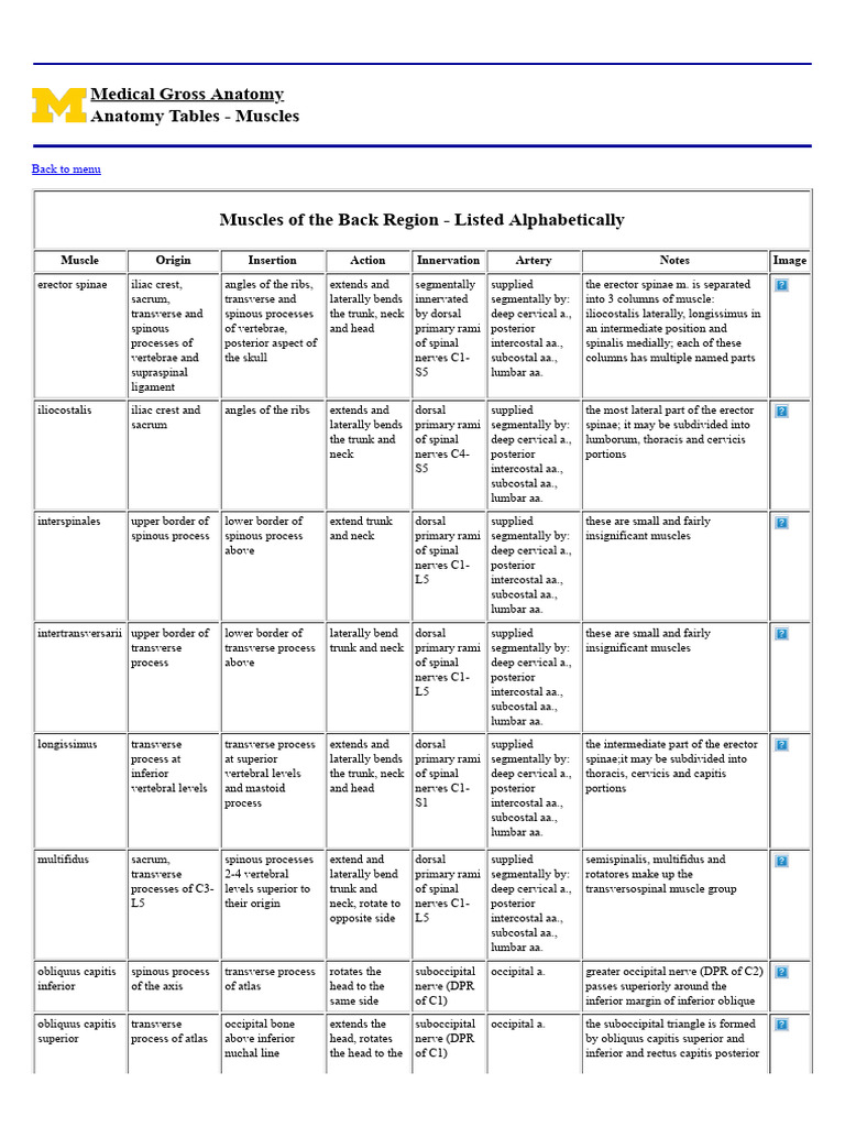 Univ of Michigan - Gross Anatomy - Muscles Tables | PDF | Thumb | Vertebra