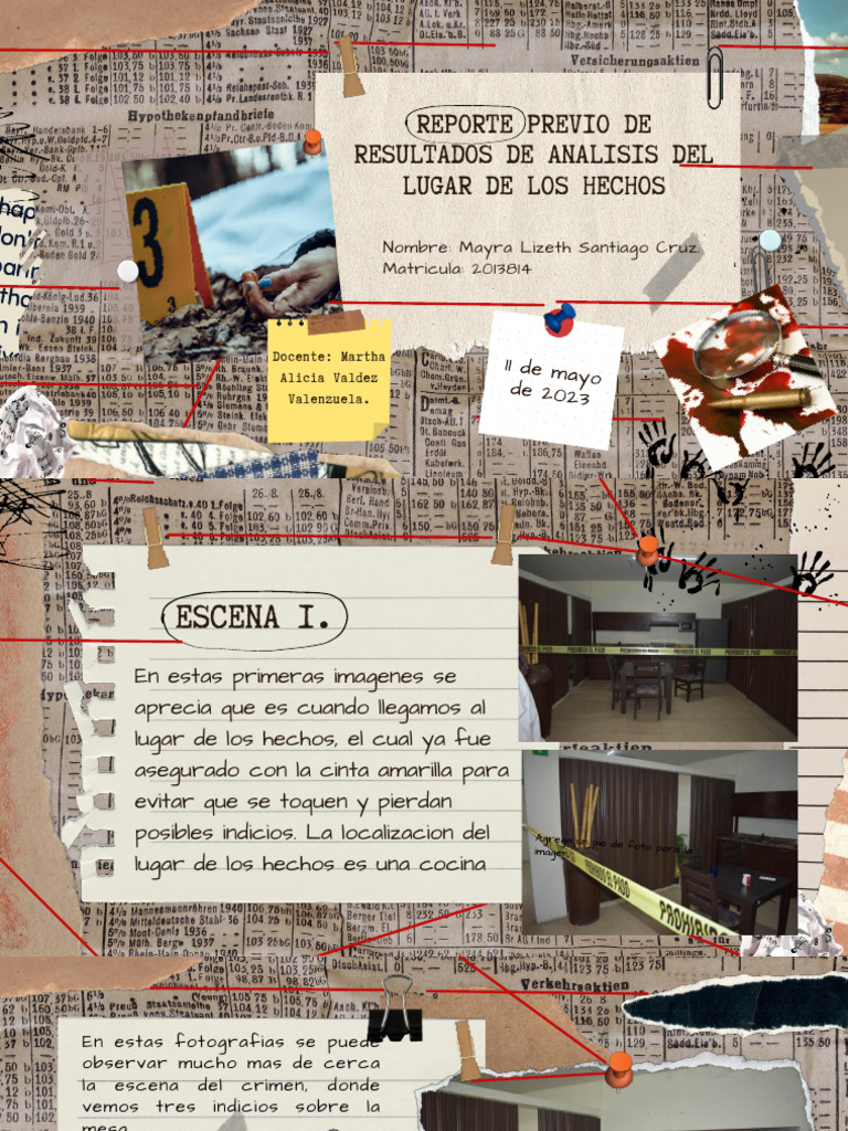 Reporte Previo de Resultados de Análisis Del Lugar de Los Hechos - MLSC ...