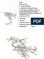 Chicken Skeletal Anatomy Overview | PDF | Pelvis | Skeletal System