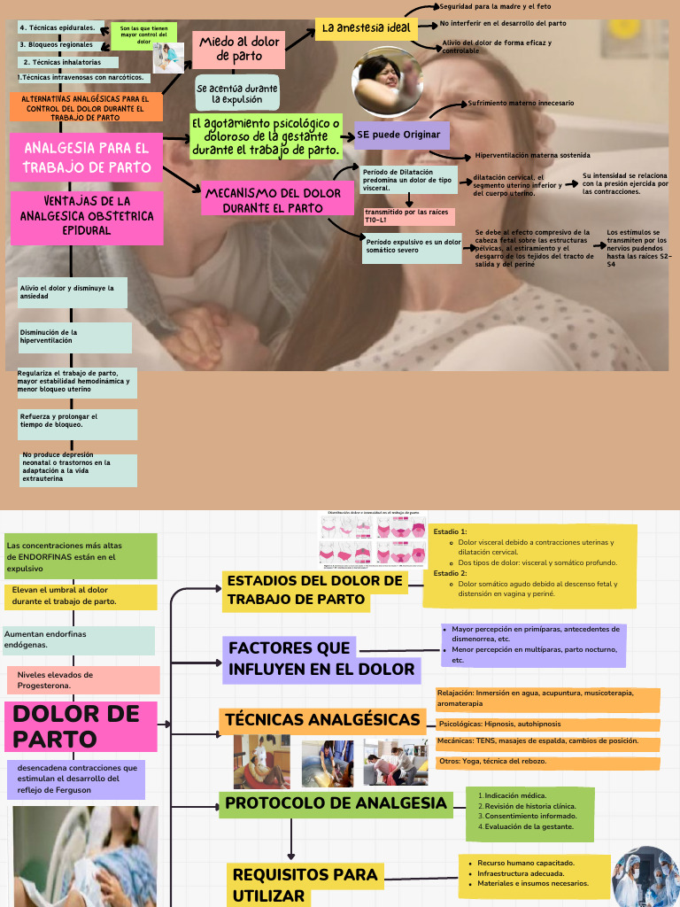 Mapa Conceptual Analgesia Del Trabajo de Parto y Del Dolor de Trabajo ...