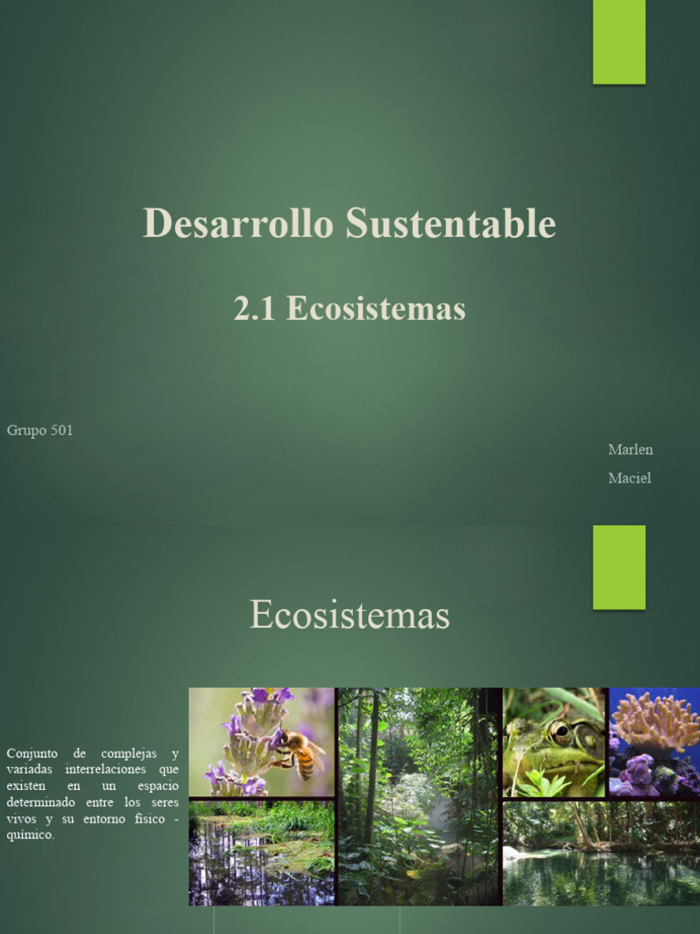 Ecosistemas | PDF | Ecosistema | Los bosques