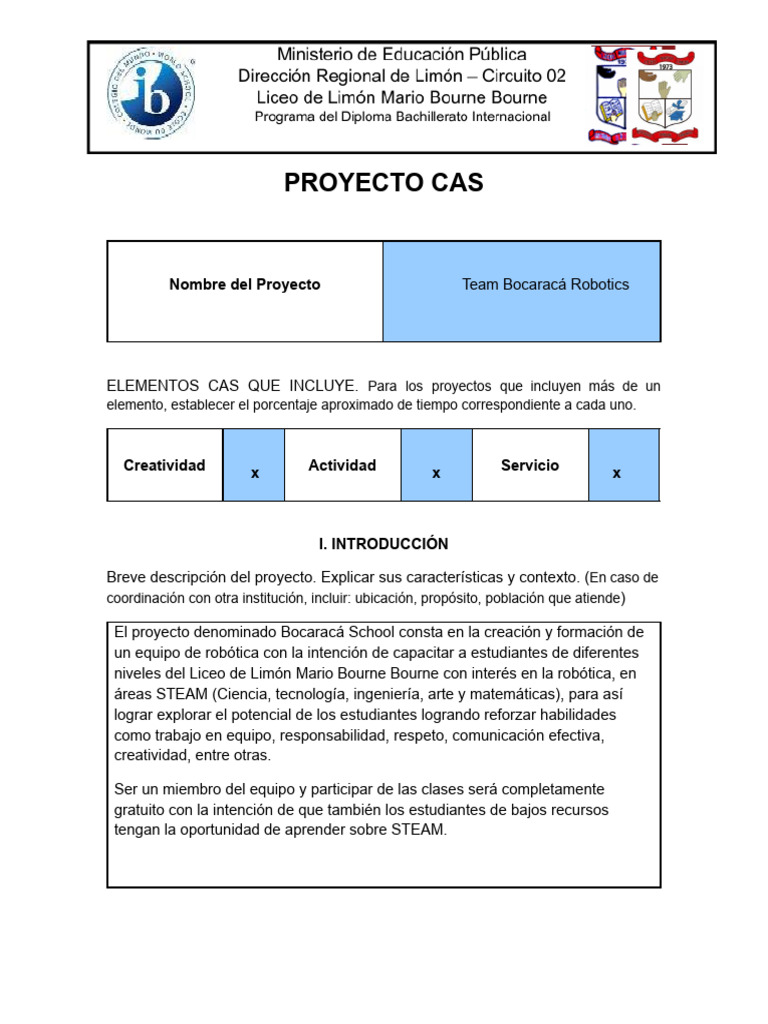 Proyecto Cas Team Bocaracá | PDF