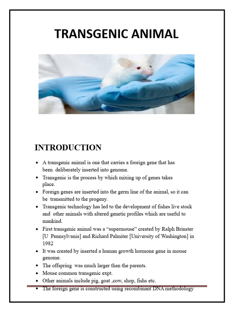 Unit 1 Transgenic Animals 1 | PDF | Transgene | Retrovirus