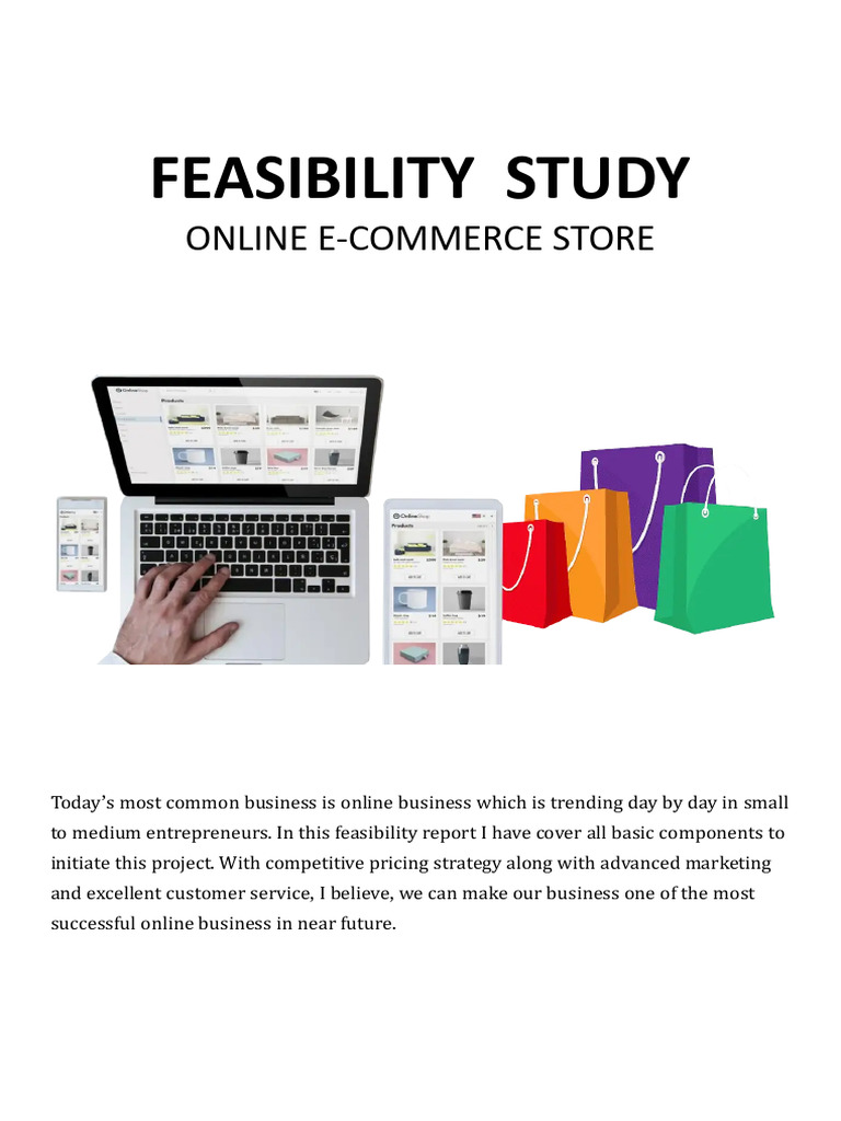Feasibility Study Pdf
