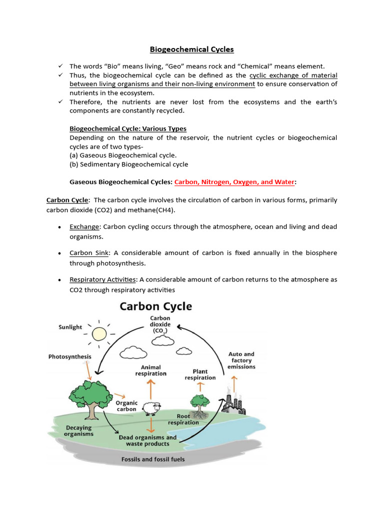 BIOGEOCHEMICAL CYCLES | PDF | Soil | Carbon Cycle