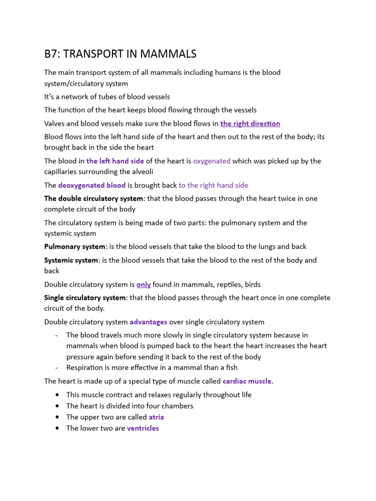 B7: Transport in Mammals: The Right Direction | PDF | Heart | Atrium (Heart)