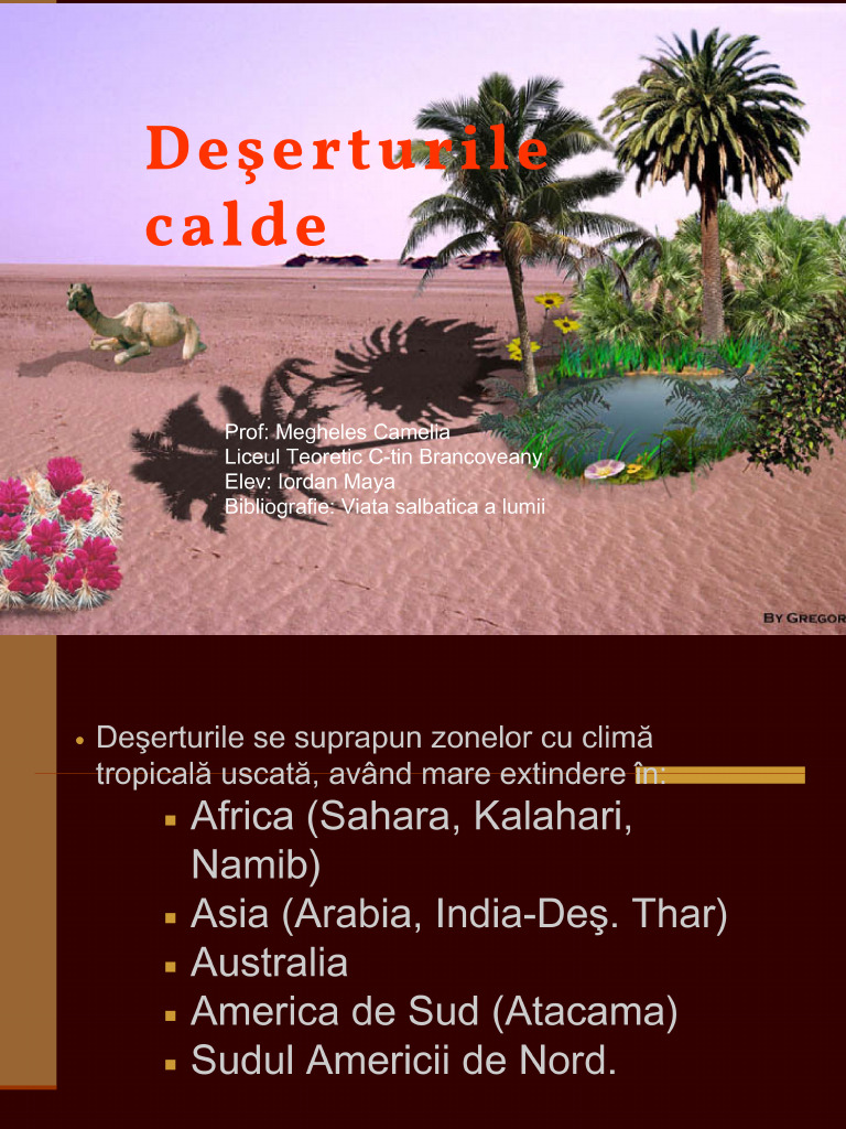 Deserturi 240222102857 dc03f602 | PDF