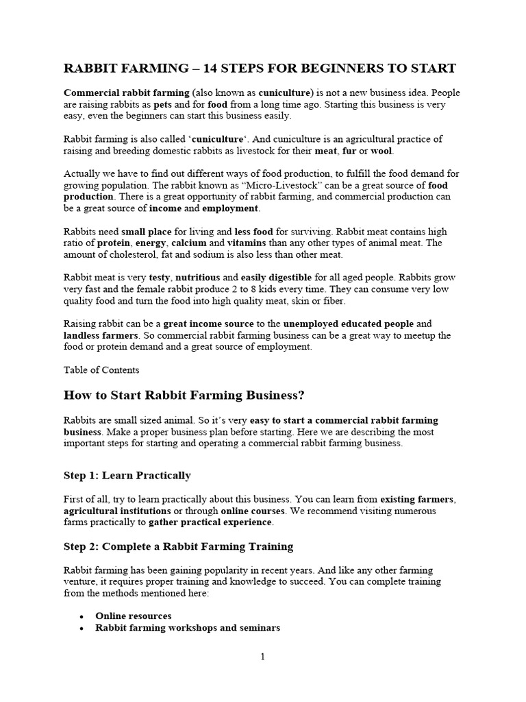 Rabbit Farming | PDF | Meat | Foods