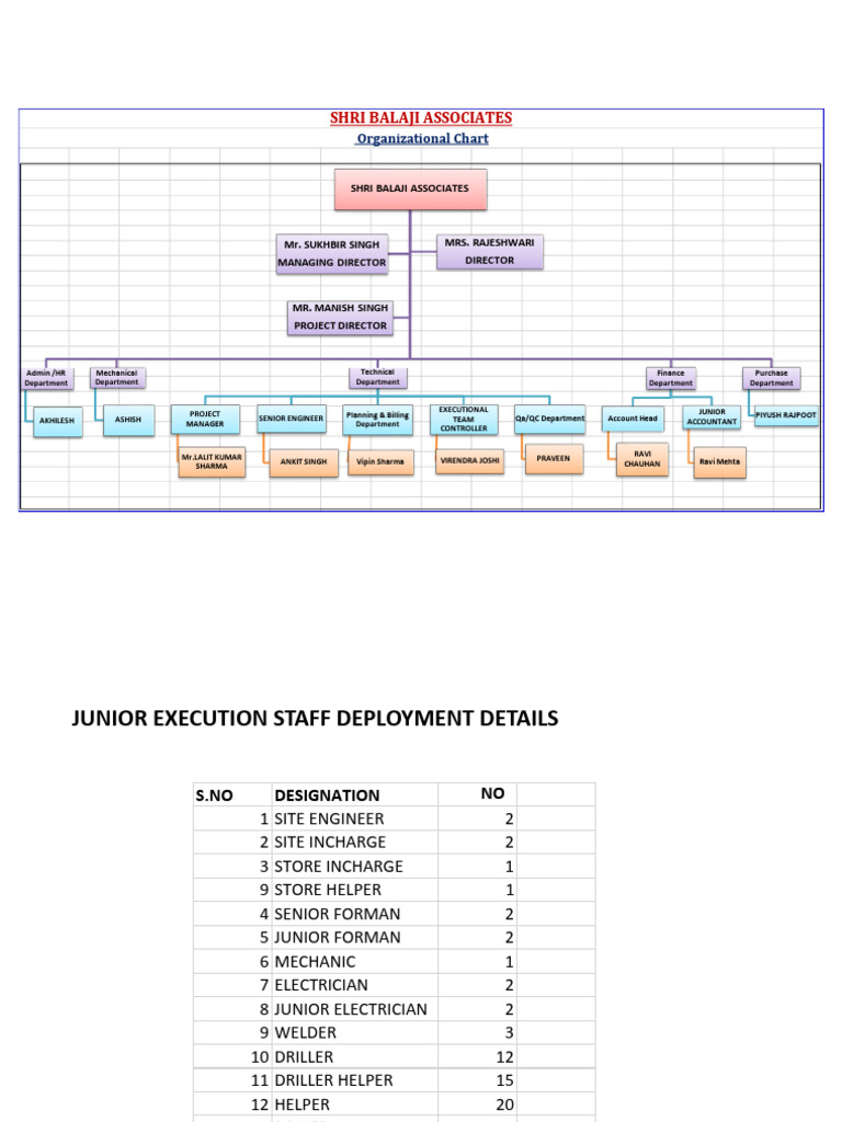 Organization and Manpower Deployment Details | PDF