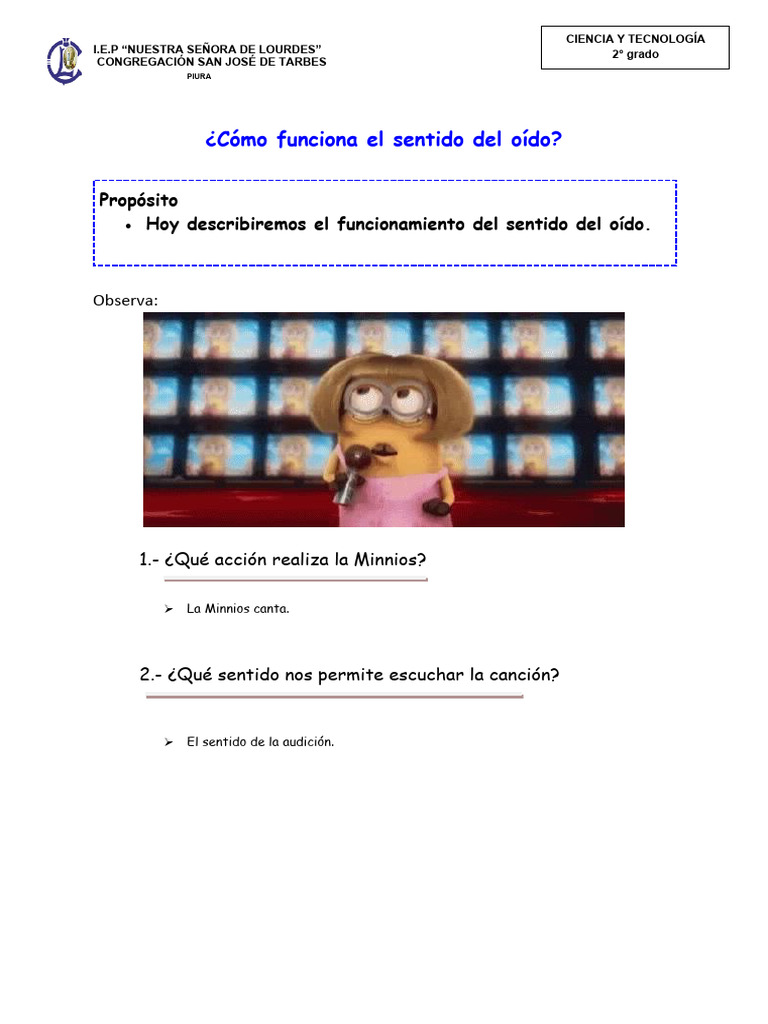 Sentido Del Oído-2° | PDF | Neurociencia