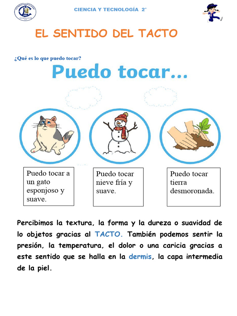 El sentido del tacto para niños | PDF | Piel | Evaluación neuropsicológica