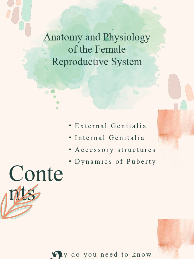 1 Female Anat Physio Puberty Dynamics - PPTX (Autosaved) | Download ...