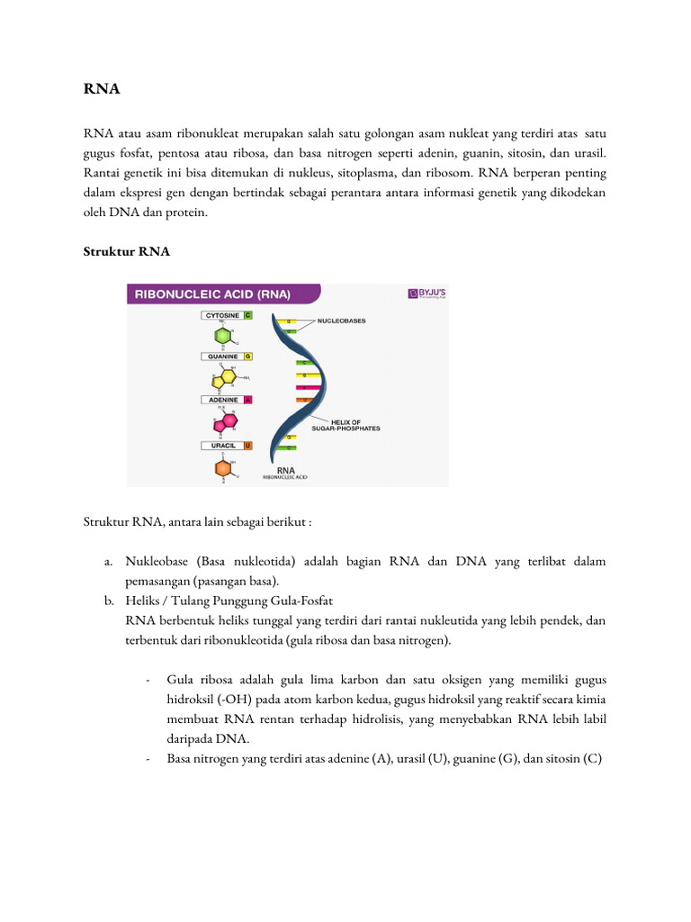 DNA Dan RNA | PDF