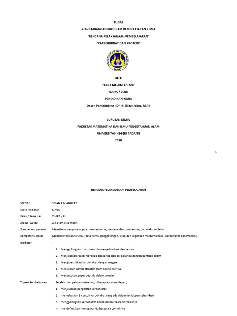 RENCANA PROGRAM PEMBELAJARAN Febby | PDF