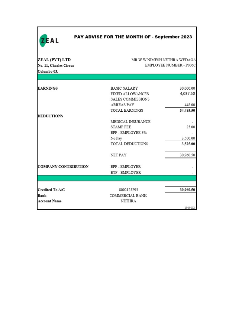 Pay Slips - Word | PDF | Employment | Salary