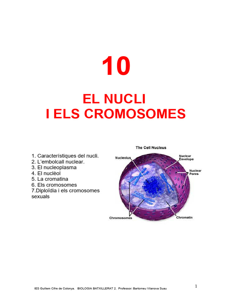 T10 El Nucli | PDF
