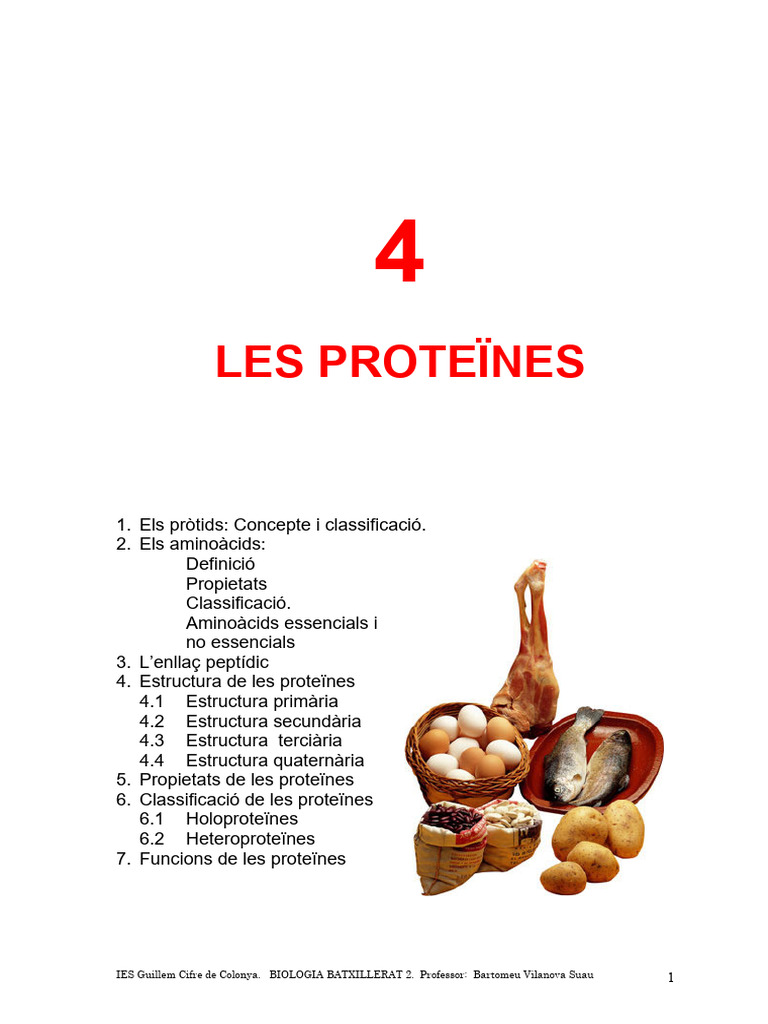 T 4 Proteines | PDF