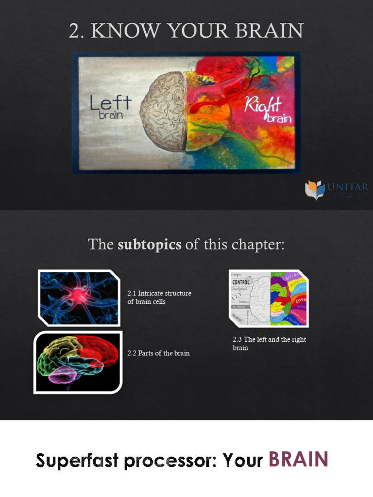 Topic 2 - Know Your Brain | PDF | Synapse | Brain