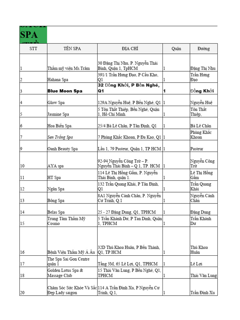LIST DANH SÁCH SPA (TIỀM NĂNG) | PDF