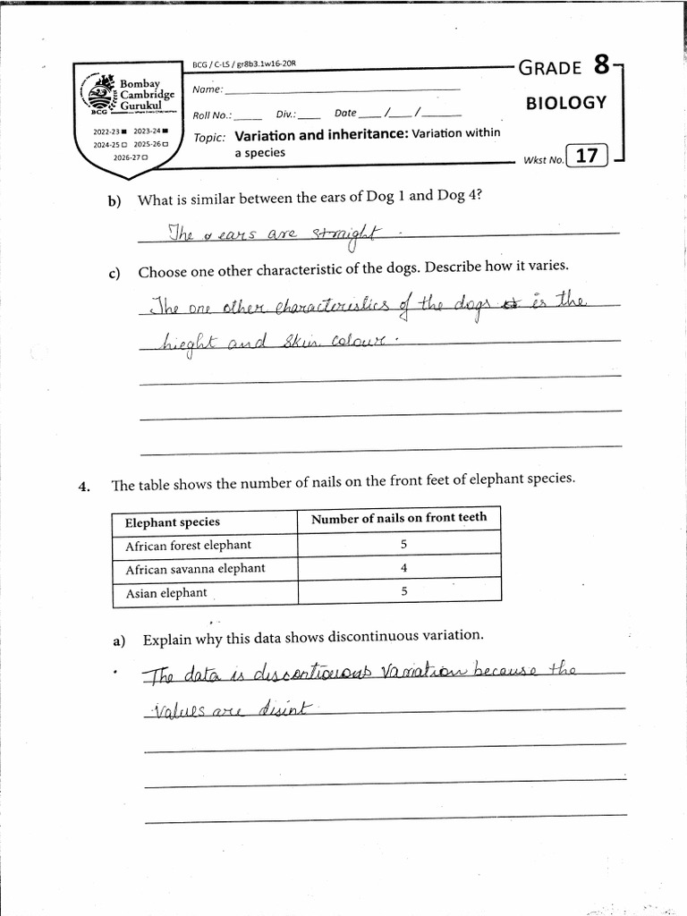 Grade 8 Science Worksheet (241-276) | PDF