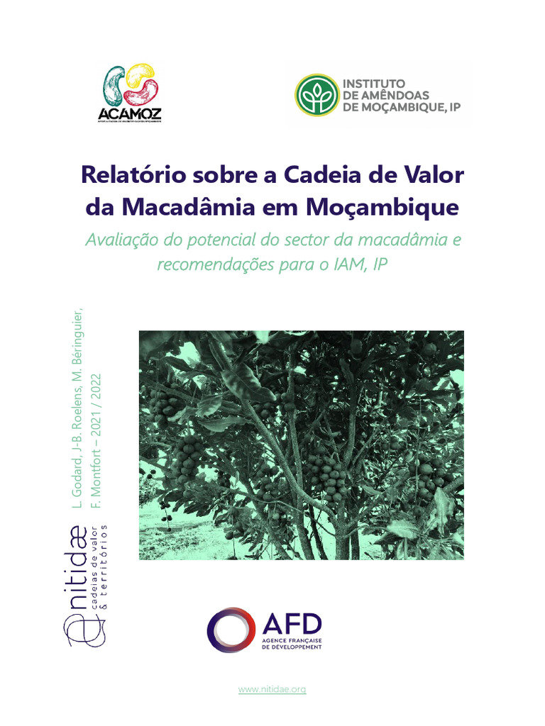 Cadeia de Valor da Macadâmia em Moçambique | PDF | Moçambique | Agricultura