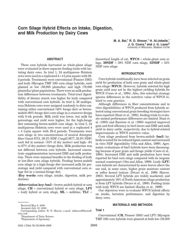 Bal 2000 | PDF | Maize | Dairy Cattle