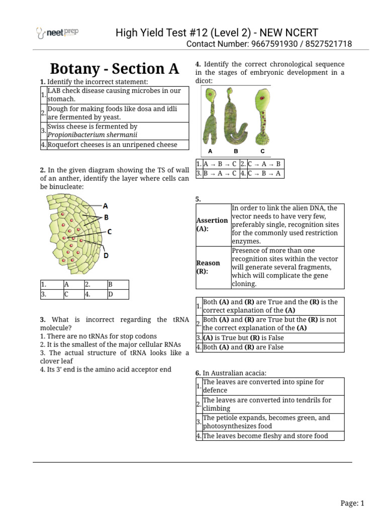 #12 (Level 2) - NEW NCERT | Download Free PDF | Leaf | Genetic Code