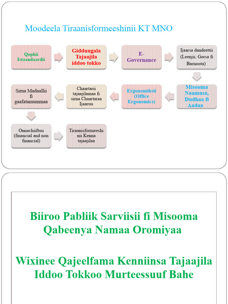 WixineeQajeelfama Kenna Tajaajila Iddoo Tokkoo Murteessuuf Bahe | PDF