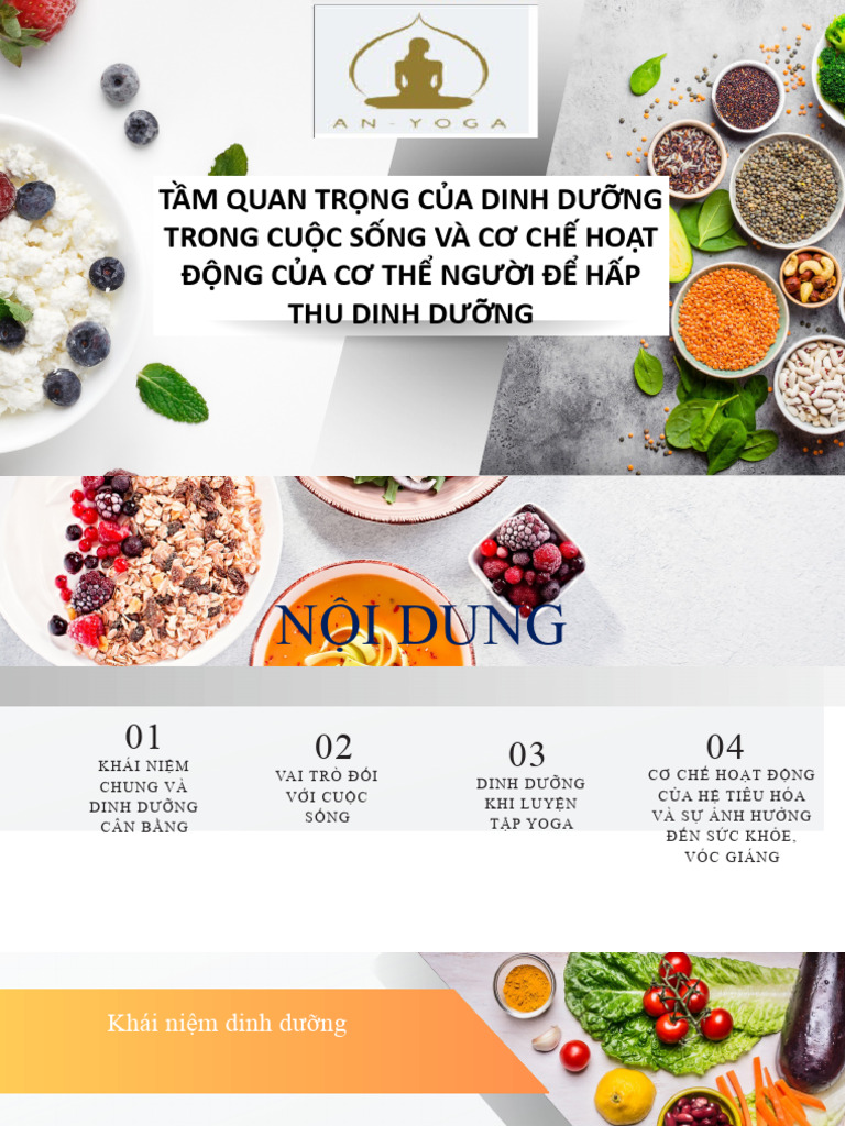 Bài 1 - Dinh Dư NG | PDF