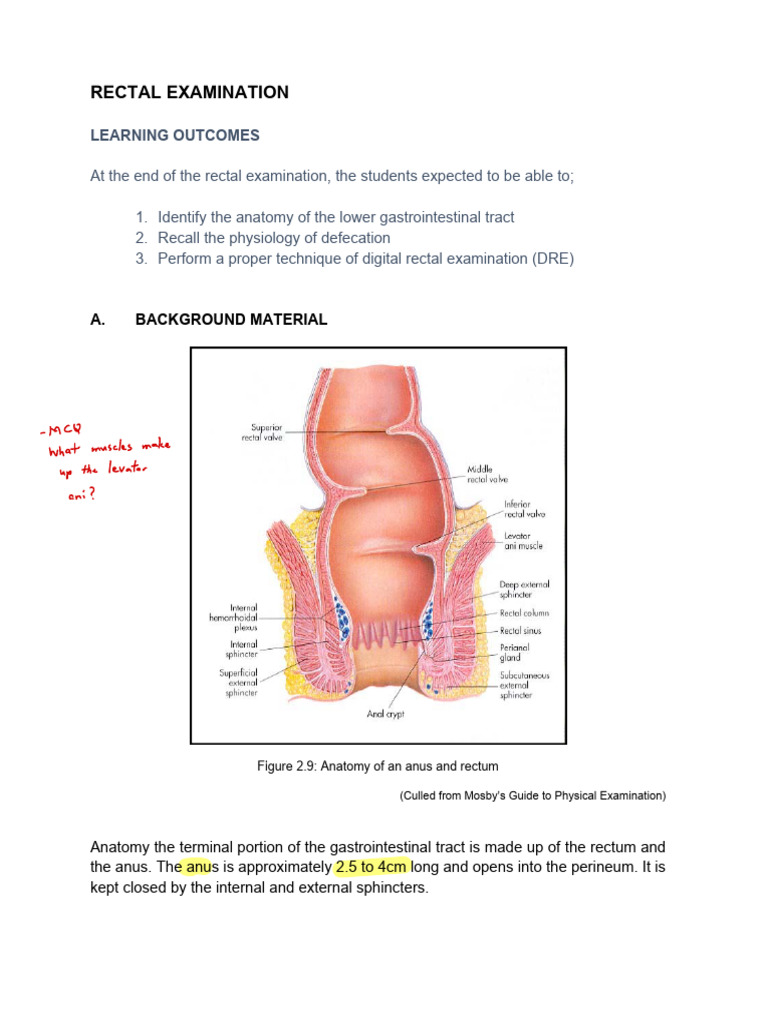 Rectal Examination16 | PDF | Rectum | Hemorrhoid