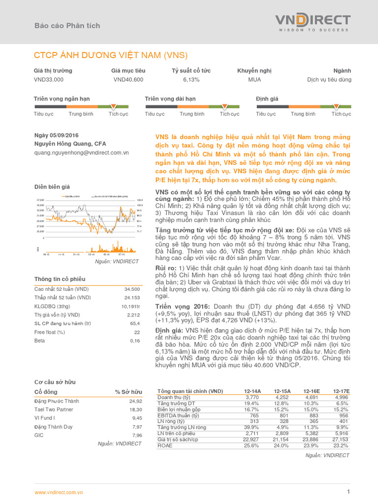 Ctcp Ánh Dương Việt Nam (Vns) : Báo cáo Phân tích | PDF