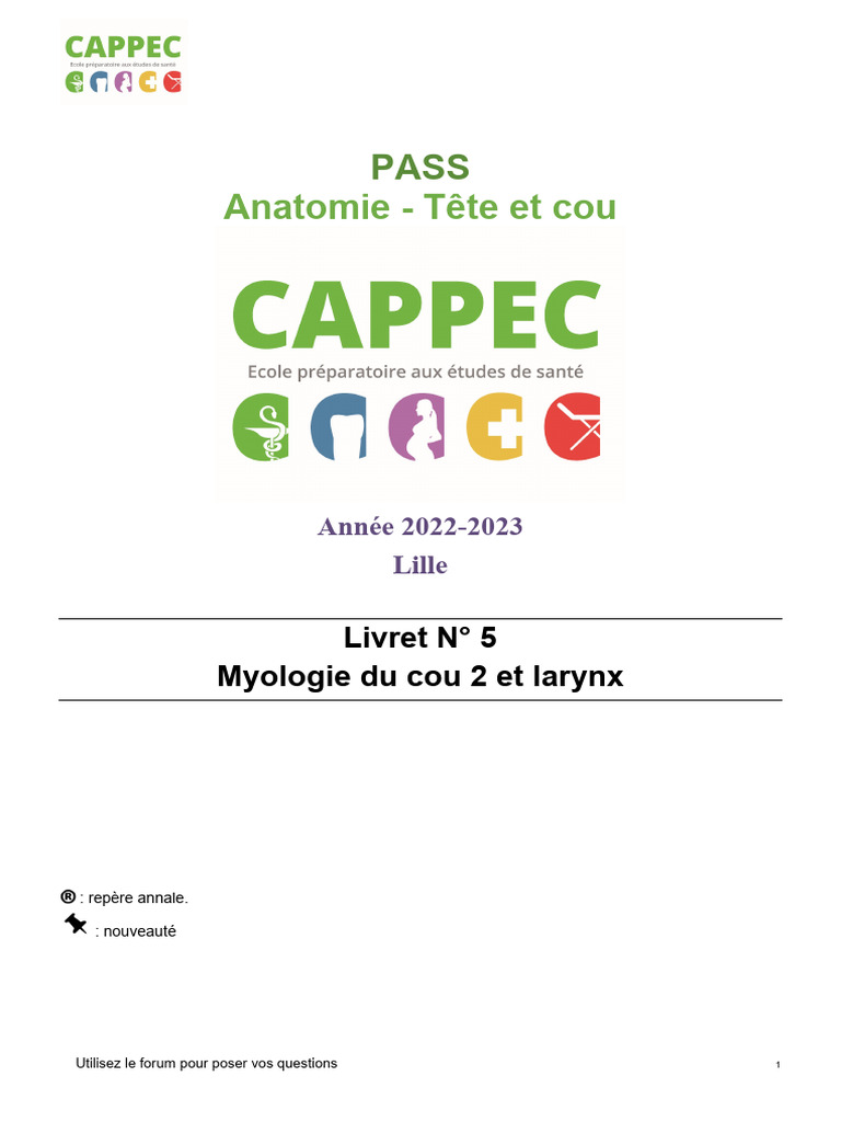 Anatomie du Rideau Stylien et Larynx | PDF | Cou | Vertèbre