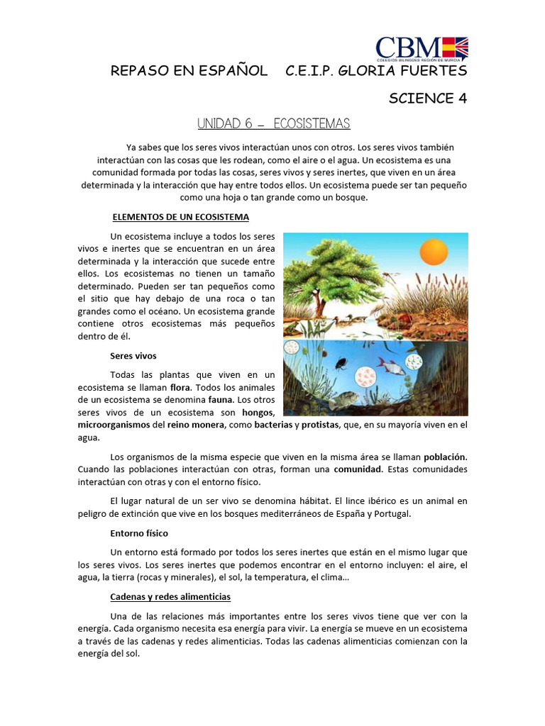 TEMA 6 - Ecosistemas | PDF | Red alimentaria | Ecosistema