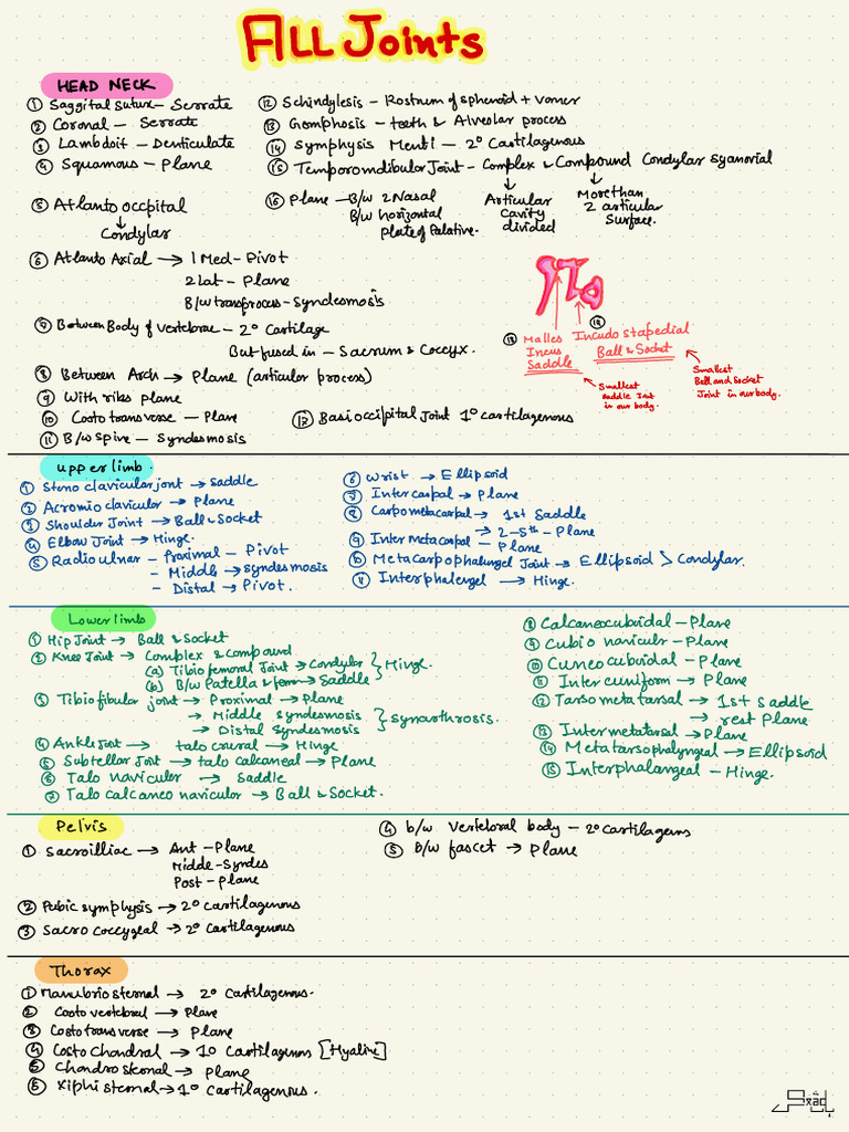 All Jointa | Download Free PDF | Cartilage | Vertebral Column