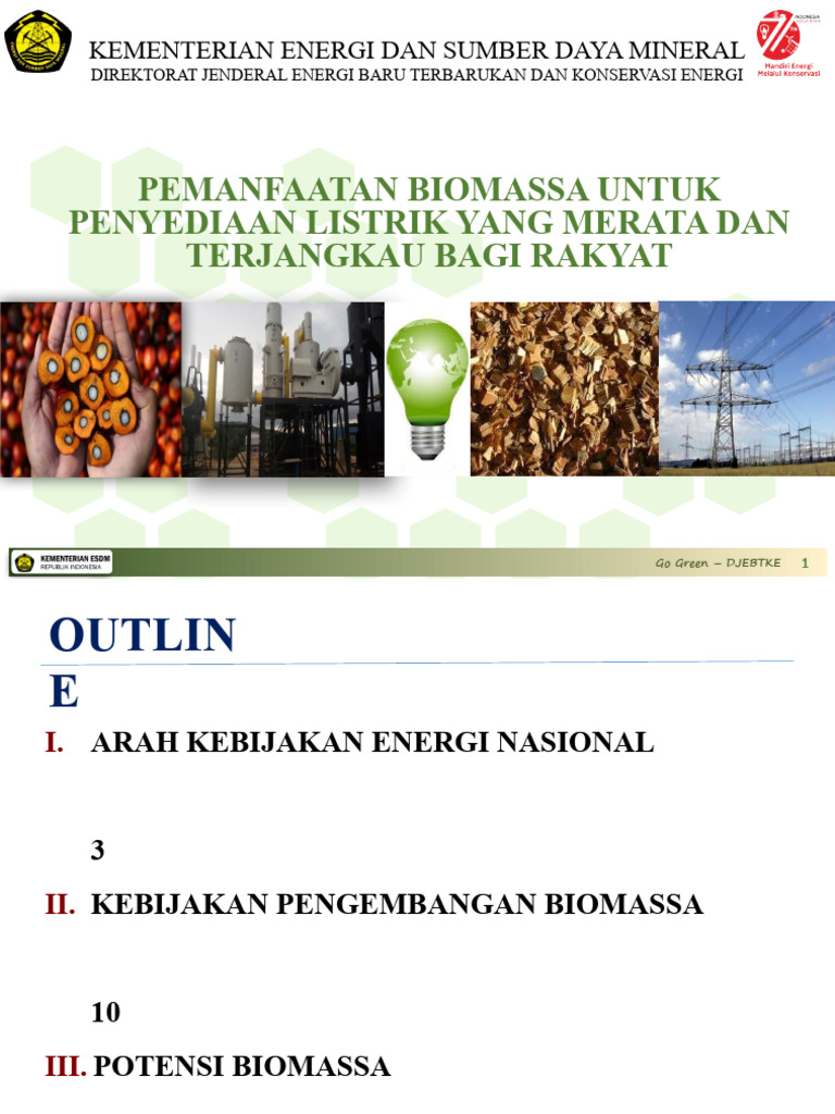 Pemanfaatan Biomassa untuk Listrik Terjangkau | PDF | Teknologi & Rekayasa