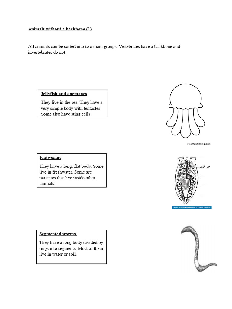 Animals Without A Backbone | PDF | Travel | Home & Garden