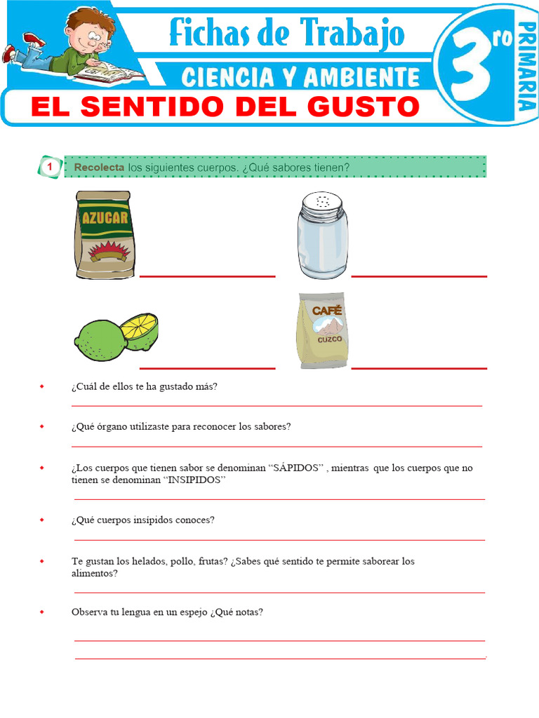 El-sentido-del-gusto-para-Tercer-Grado-de-Primaria | PDF