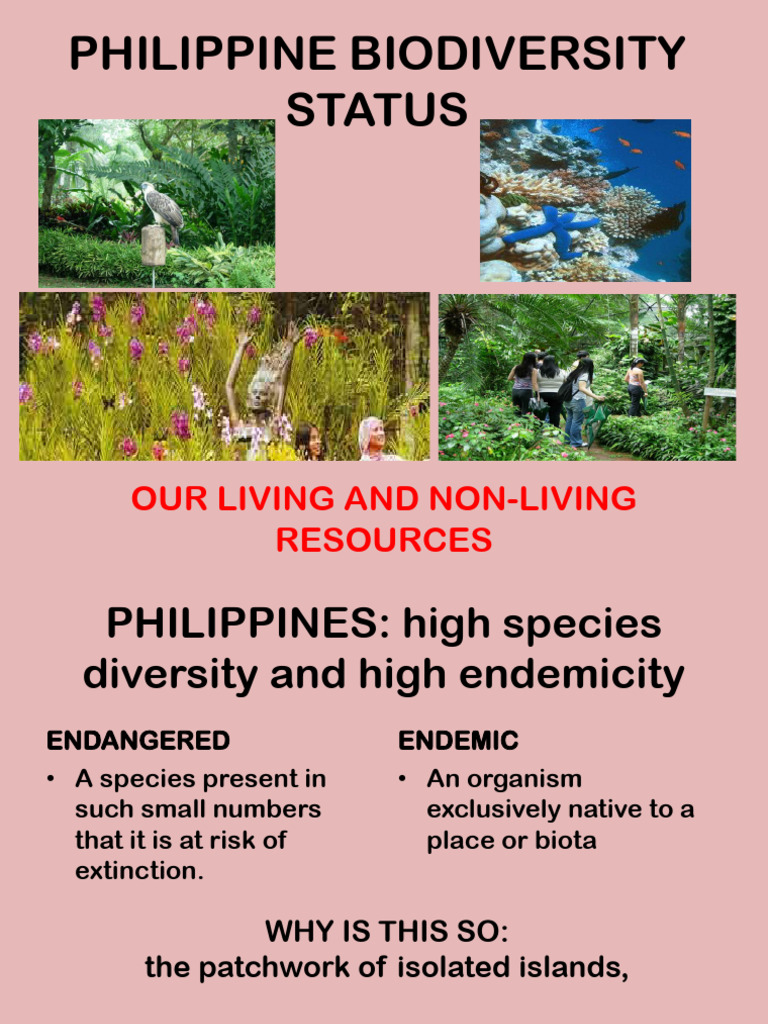 Lecture 4 (Living Resources) | PDF