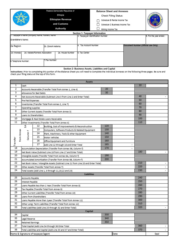 Ethiopia Tax Declaration Form Guide | PDF | Expense | Book Value