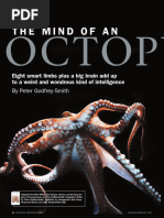 Octopus Intelligence: Educator's Guide | PDF | Graphics | Intelligence