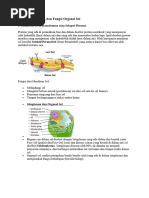 Kelompok 6 - Sentriol & Sentrosom | PDF