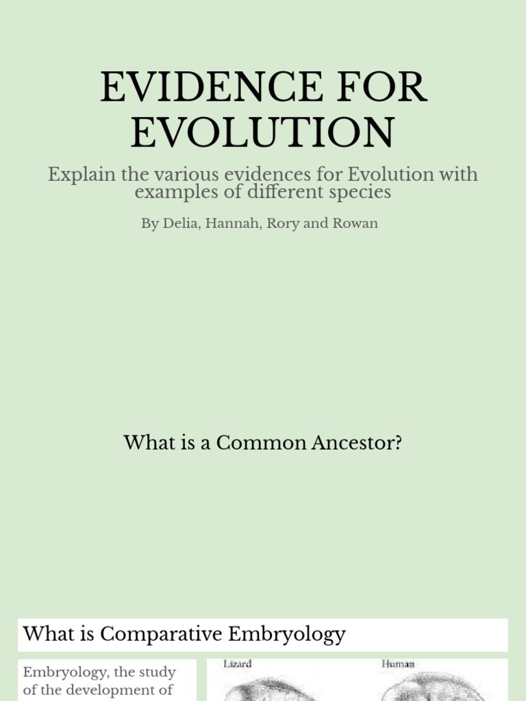 Evidence For Evolution | PDF | Evolution | Fossil