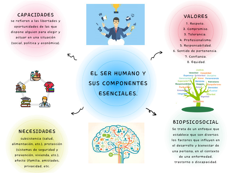 El Ser Humano Y Sus Componentes Esenciales Pdf
