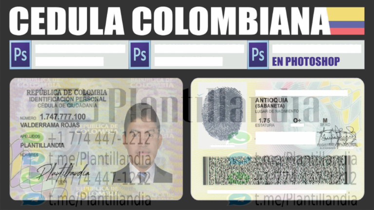 Plantilla de Cedula Colombiana | PDF