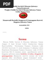 Formaatii Gabaasa Torbee Lama. | PDF