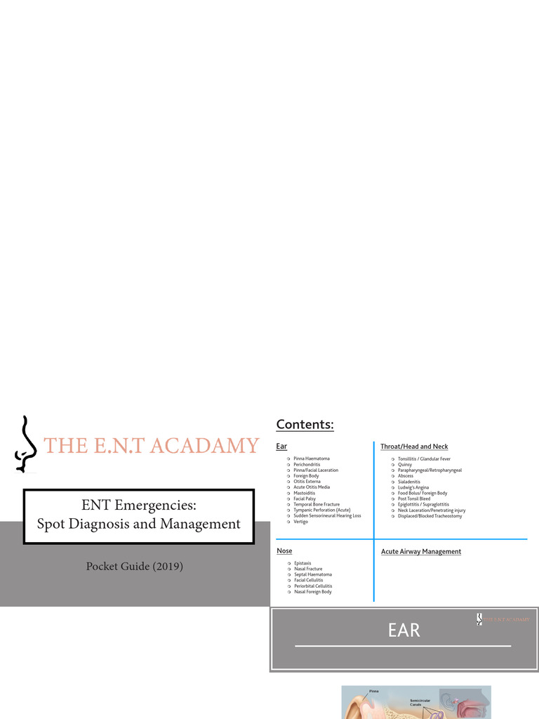 Ent | PDF | Ear | Medical Specialties