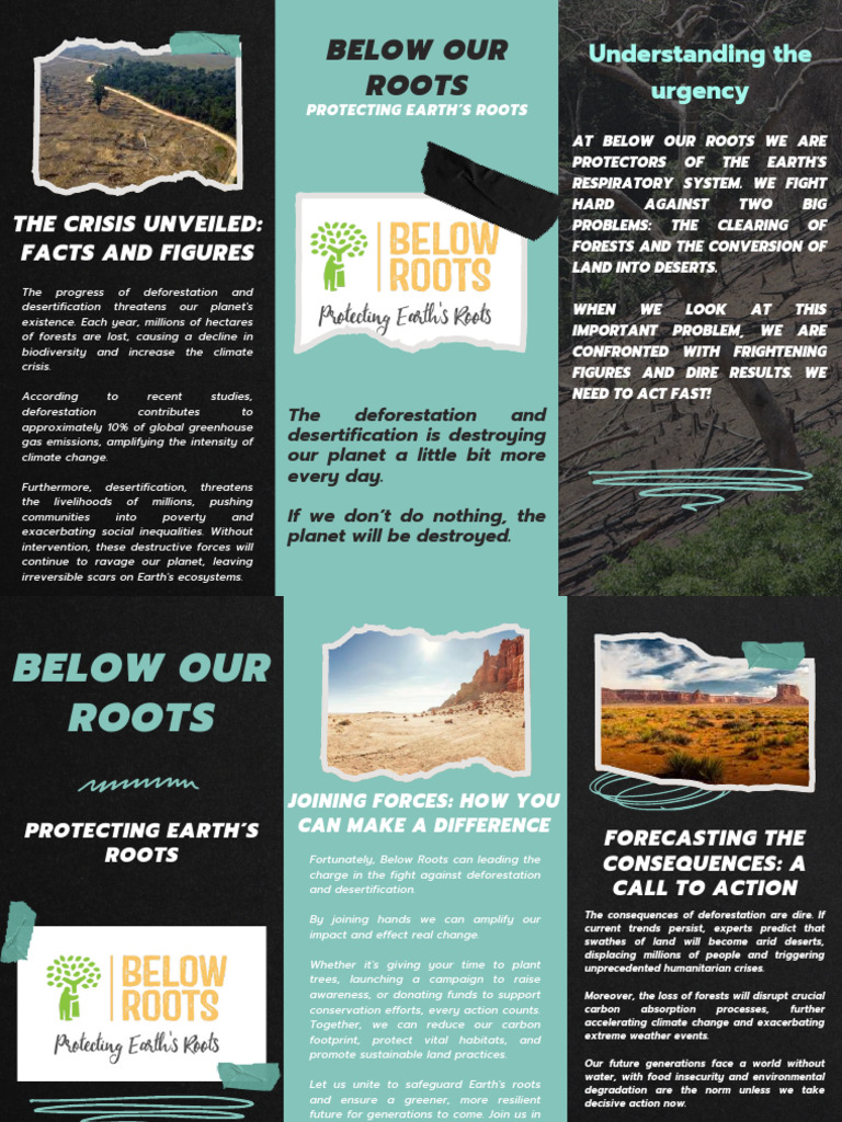 Below Our Roots Flyer | PDF | Deforestation | Climate Change