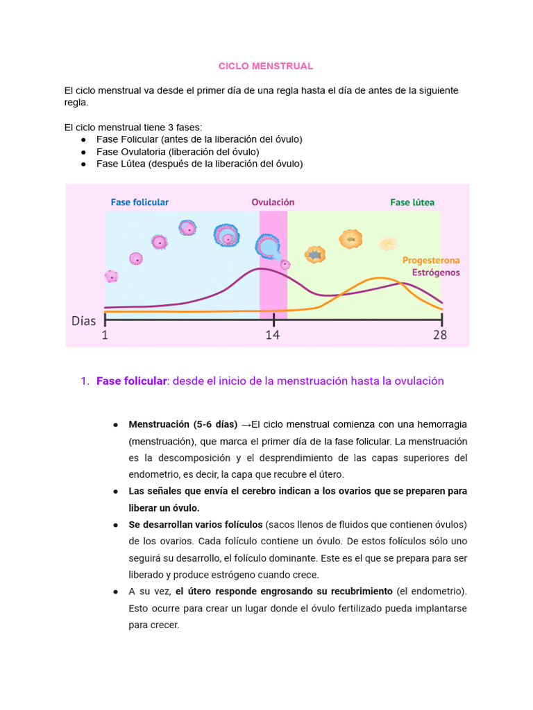 Ciclo Menstrual y Trivial | Descargar gratis PDF | Ciclo menstrual | Menstruación